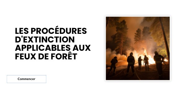 Les procédures d'extinction applicables aux feux de forêt | Genially