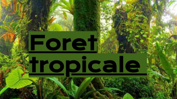 Foret tropicale | Genially