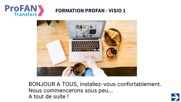 Etablissement 4- PAP - PROFAN - VISIO 1 | Genially