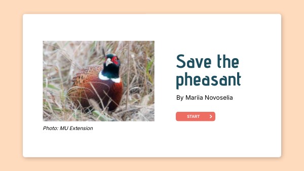Save the pheasant | Genially