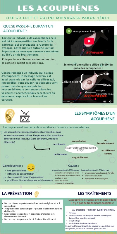 Les acouphènes Coline Lise 1ère 1 | Genially
