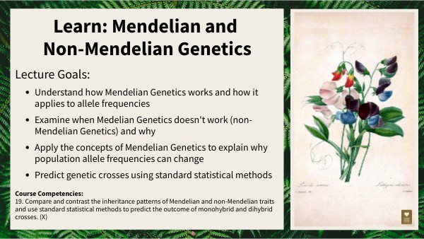 16IP Mendelian and Non-Mendelian Genetics V2 | Genially