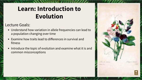 17IP Intro to Evolution (updated) | Genially