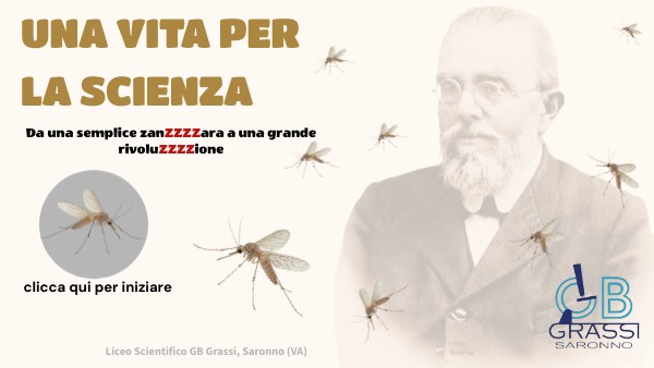 Giovanni Battista Grassi | Genially