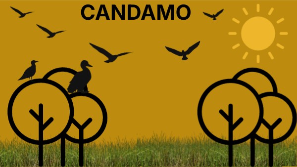 Candamo | Genially