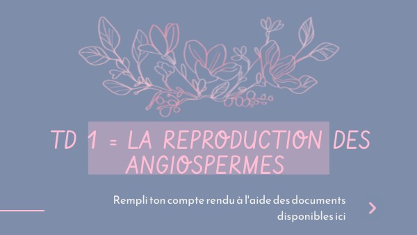 TD 1 = la reproduction des angiospermes | Genially