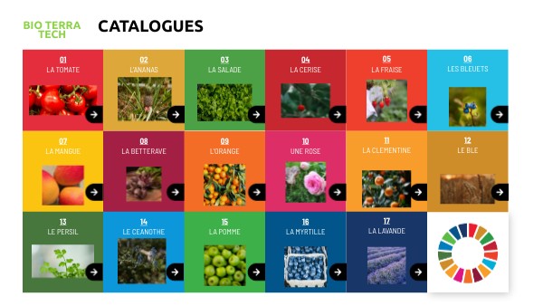 CATALOGUES | Genially