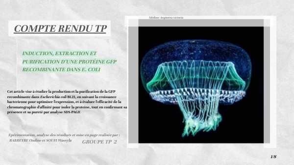 Compte rendu tp | Genially