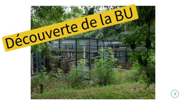 Découverte de la BU | Genially