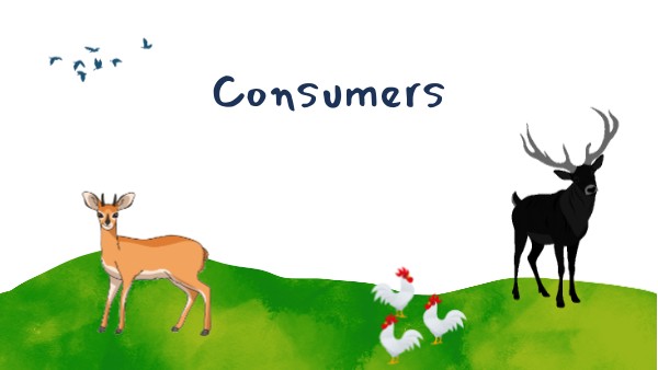 11. Consumers | Genially