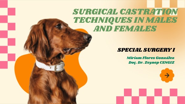 SURGICAL CASTRATION TECHNIQUES IN MALES AND FEMALES | Genially