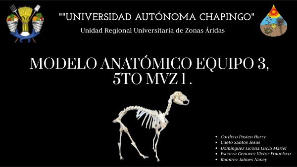 MVZ 51 E-3 | Genially