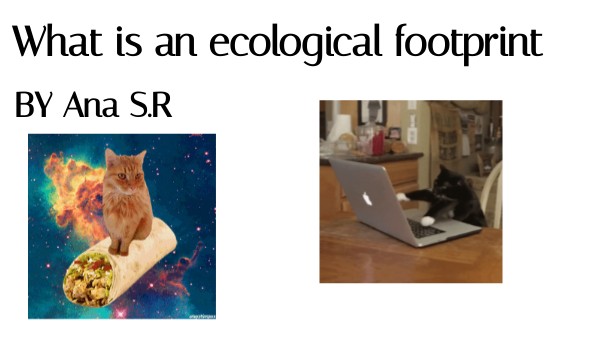 What is an ecological footprint | Genially