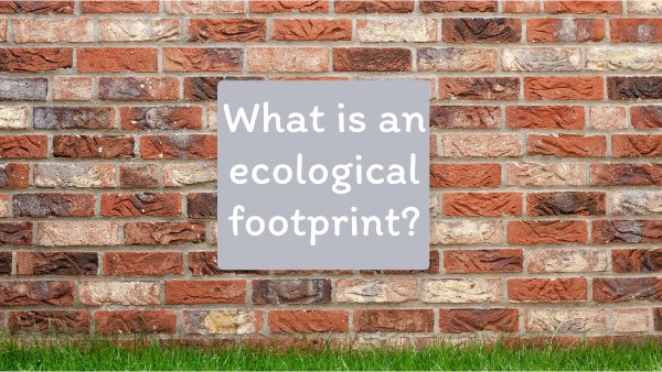 What is an ecological footprint? | Genially