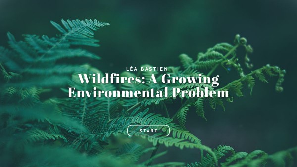 Wildfires: A Growing Environmental Problem | Genially
