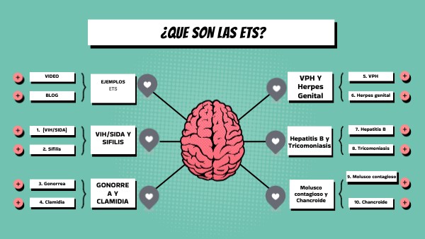¿QUE SON LAS ETS? | Genially