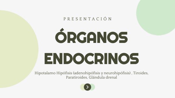 ÓRGANOS endocrinos | Genially