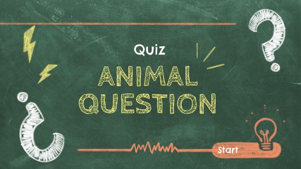 Animal question | Genially
