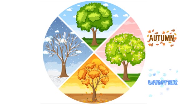 seasons | Genially