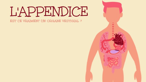L'appendice | Genially
