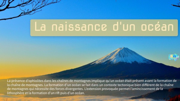 TP marges passives - 2025 | Genially