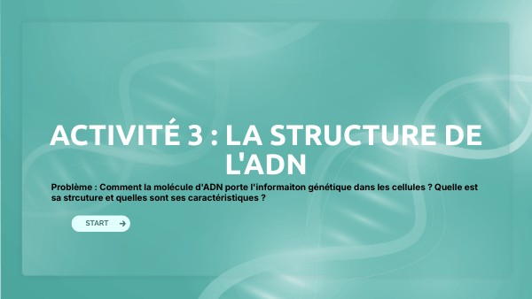 Boussange : Activité 3 (Structure de l'ADN) | Genially