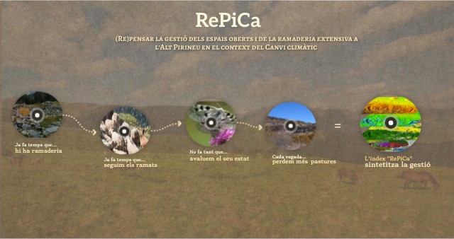 RePiCa | Genially