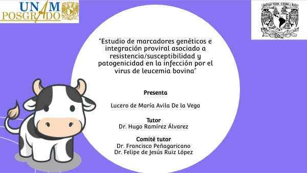 Sixiéme tutoriel | Genially