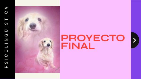 Proyecto final | Genially