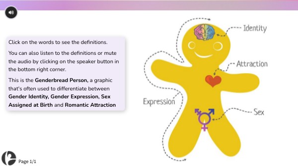 Genderbread person | Genially