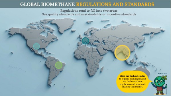 GLOBAL BIOMETHANE REGULATIONS AND STANDARDS | Genially
