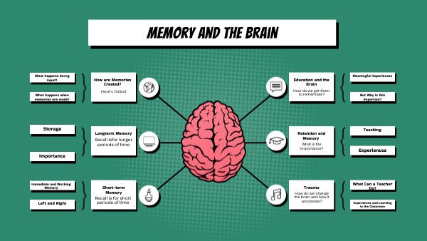 Memory and the Brain | Genially