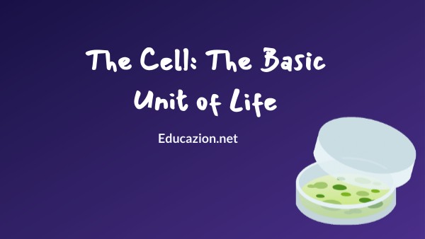 03. The Cell: The Basic Unit of Life | Genially