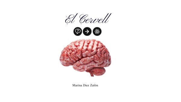 EEM_TeresaCosta_Cerbell | Genially