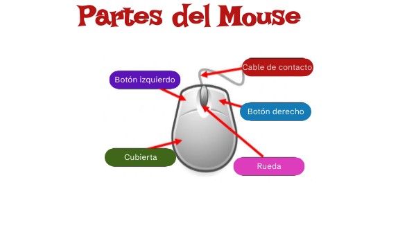 Partes del Mouse | Genially