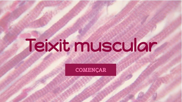 Teixit muscular | Genially