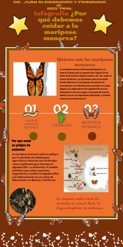 Infografía ¿Por qué debemos cuidar a la mariposa monarca? | Genially