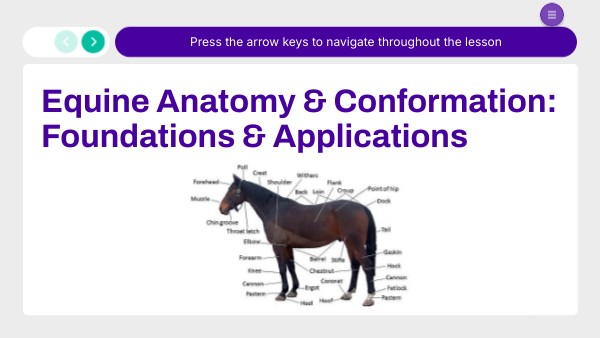 AGLL 2101 M2 Equine Anatomy & Conformation: Foundations & Applications ...