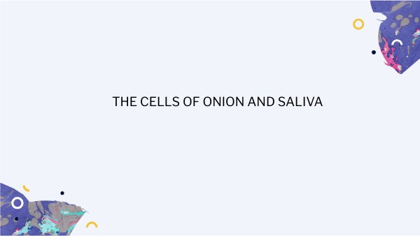 THE CELLS OF ONION AND SALIVA | Genially