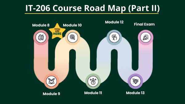 Module11 IT-206 Course Road Map (Part II) | Genially