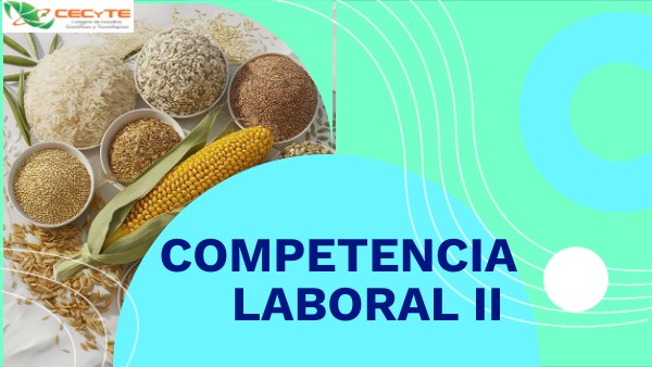 COMPETENCIA LABORAL II | Genially