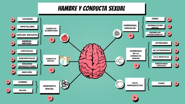 HAMBRE Y CONDUCTA SEXUAL | Genially