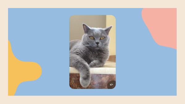 Animales Botero | Genially