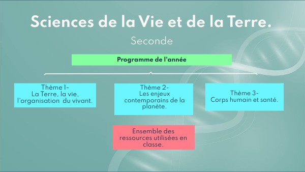 programme seconde | Genially